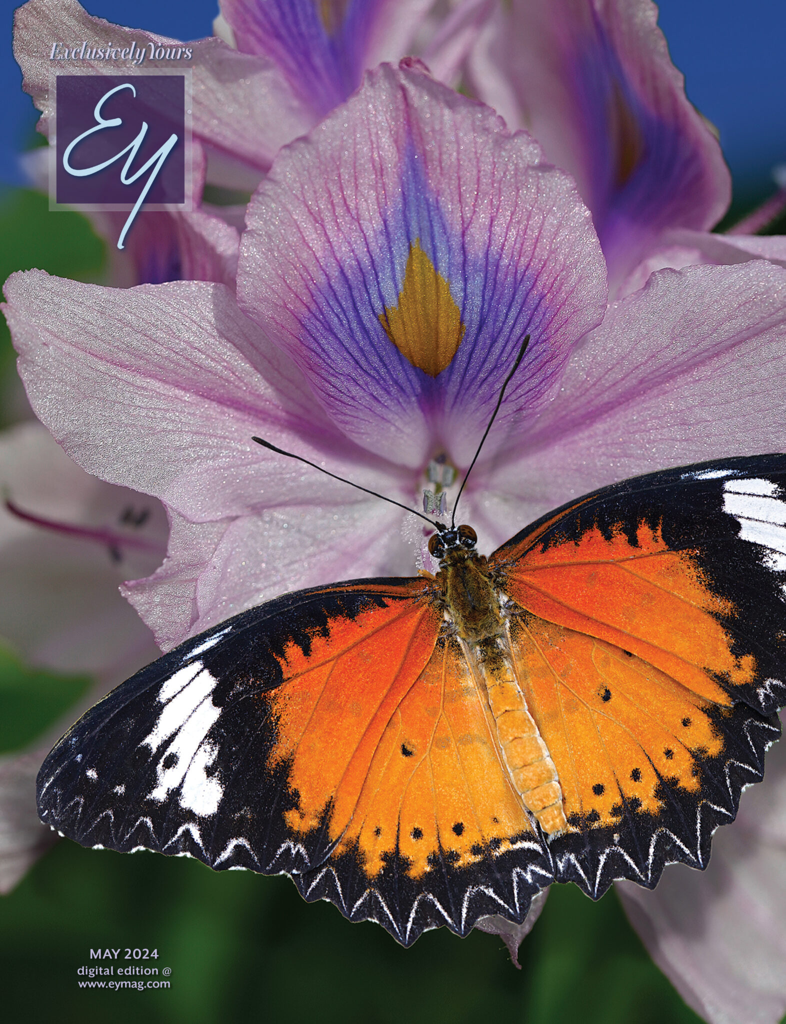 Home - Exclusively Yours Magazine